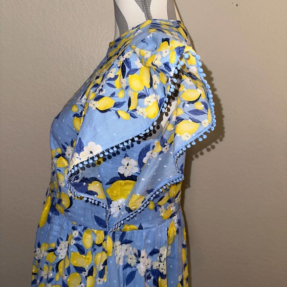 Ann Taylor | Dresses | Nwt Ann Taylor Blue Yellow Lemon Swiss Dot ...